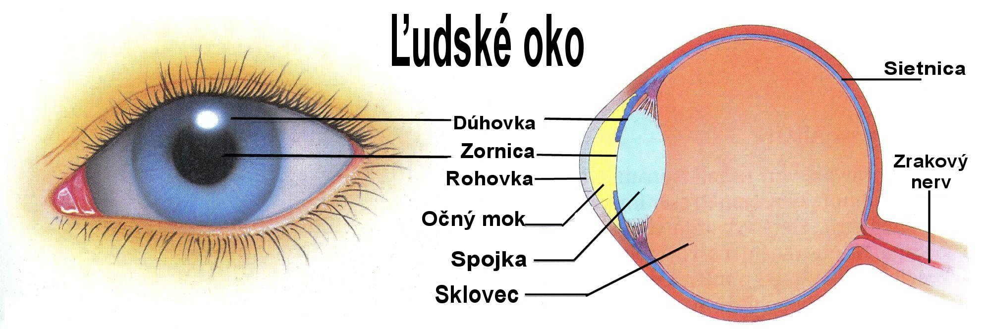 Nová stránka 1